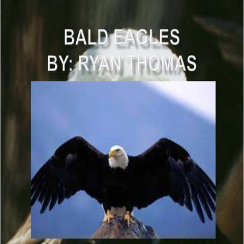 Bald eagles2 | PPTX