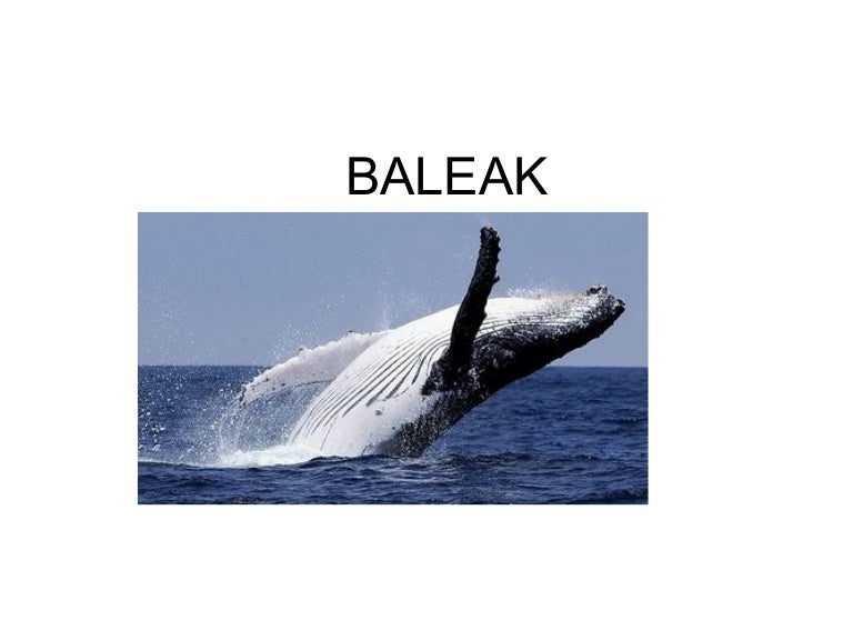 Baleak