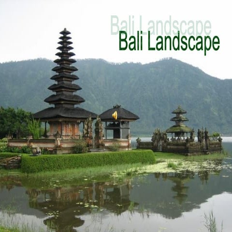 Bali landscape | PPS