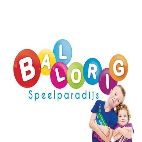 Ballorig - social media sessie | PDF