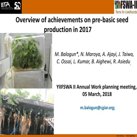 Overview of achievements on pre-basic seed production in 2017 | PPTX ...