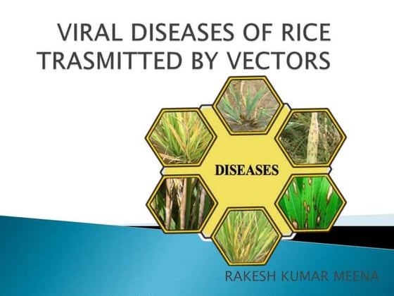 RICE TUNGRO VIRUS | PPTX