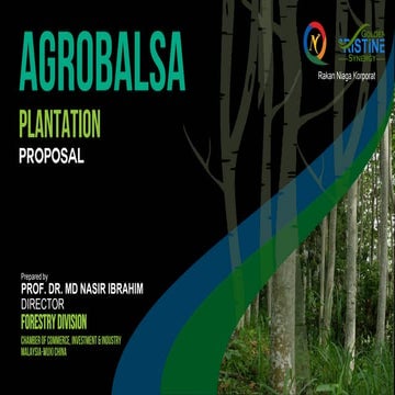 BALSA PLANTATION PROPOSAL PRESENTATION.pdf