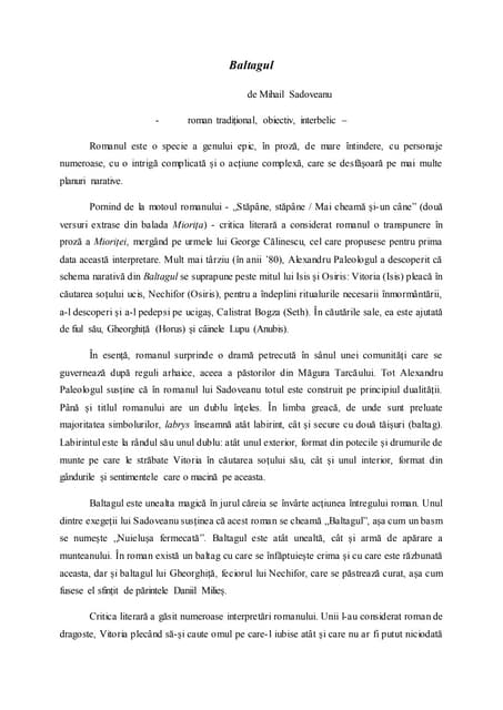 1.Baltagul-Eseu.docx