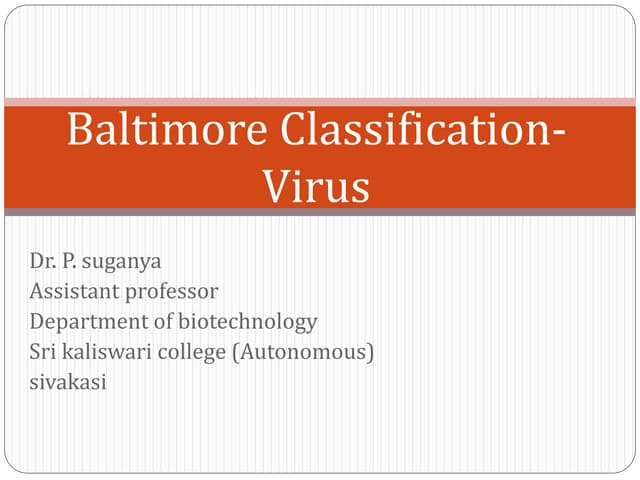 Baltimore classification of viruses presentation | PPTX