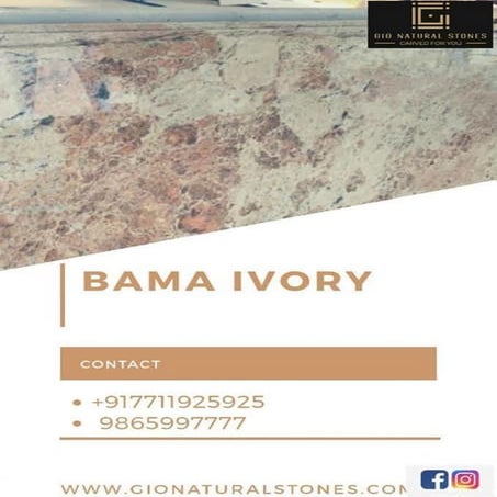 Bama ivory | PDF