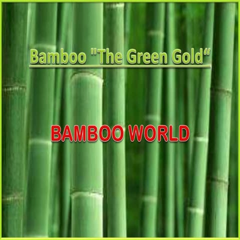 Bamboo business plan | PPTX