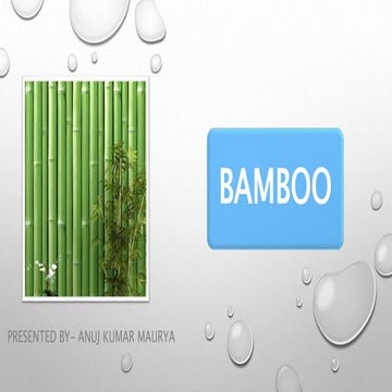 Bamboo | PDF