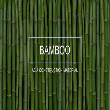 BAMBOO.pptx