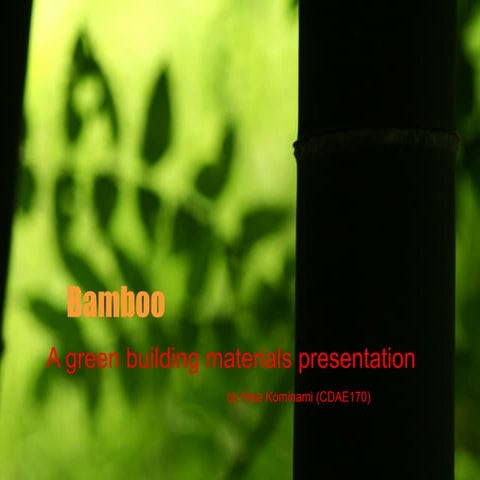 Bamboo1 | PPT