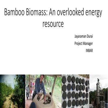Bamboo biomass an overlooked energy resource | PPTX