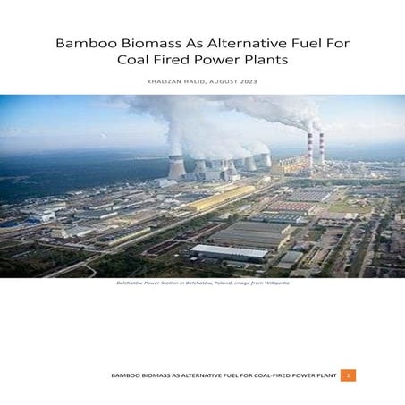 Bamboo Biomass As Alternative Fuel For Coal Fired Power Plants.pdf