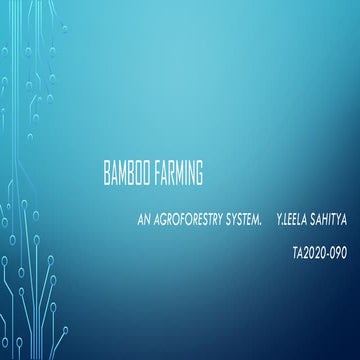 Bamboo farming AEXT 292 presentation.pptx