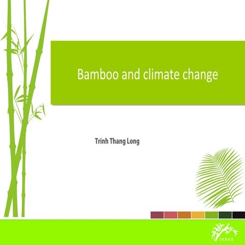 Bamboo for climate change | PPT