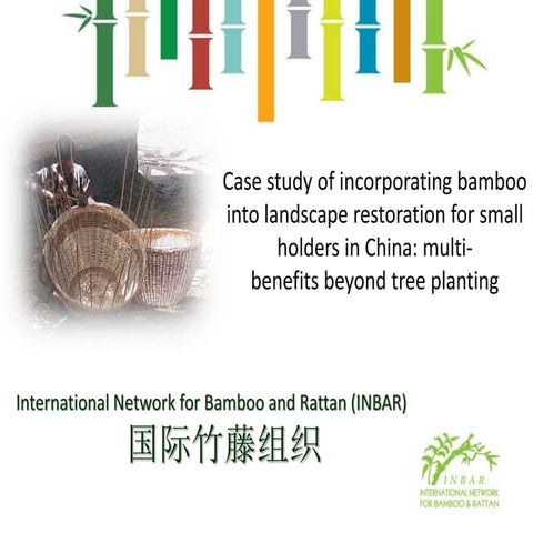 Bamboo for land restoration | PPTX