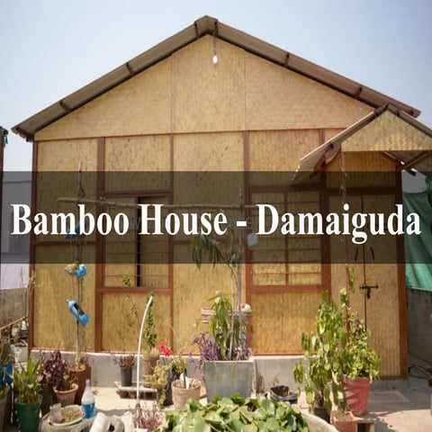 Bamboo house - Damaiguda | PPTX