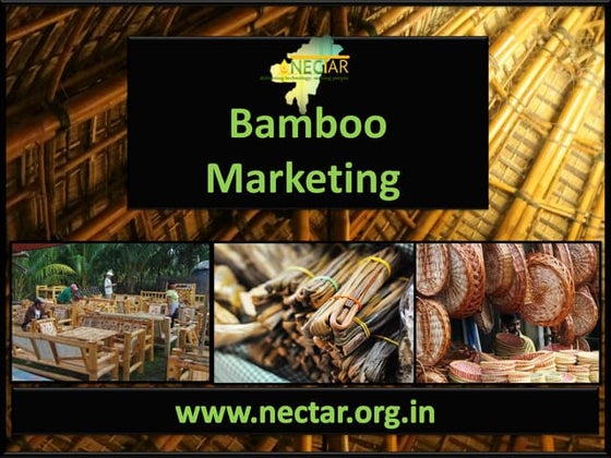 Indian bamboo - www.nectar.org.in