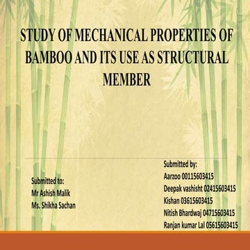 Bamboo presentation | PPTX