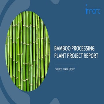 Detailed Project Report on Setting up a Bamboo Processing Plant | PPTX