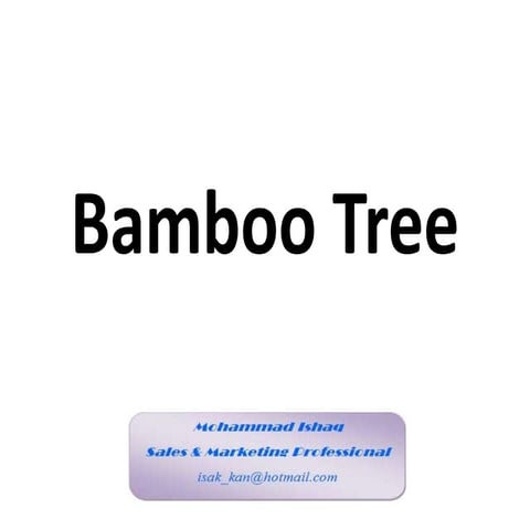 Bamboo tree | PPTX