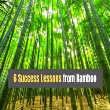 bamboo tree.pptx MLM IS A BUSINESS OF PATIENCE | PPTX