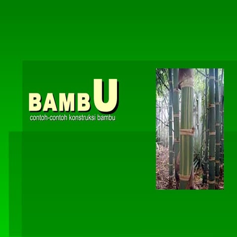 Bambu | PPT