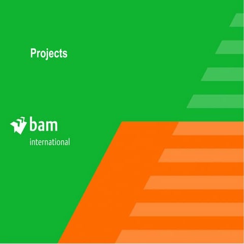 Bam International Projects April 2010 | PPT