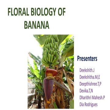 Pract no. 9 (a) floral biology of banana | PPT