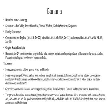 Banana Production Guide-GP Dean.pptx