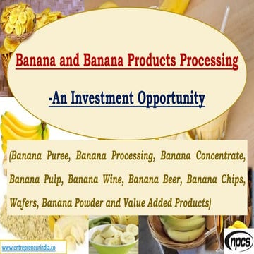 Banana and Banana Products Processing | PPTX