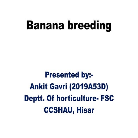 Banana genomic classification | PPT
