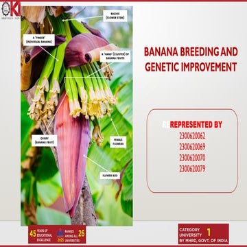 Pract no. 9 (a) floral biology of banana | PPT