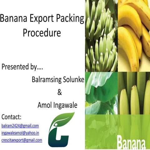 Banana Exports Packing Procedure | PPTX