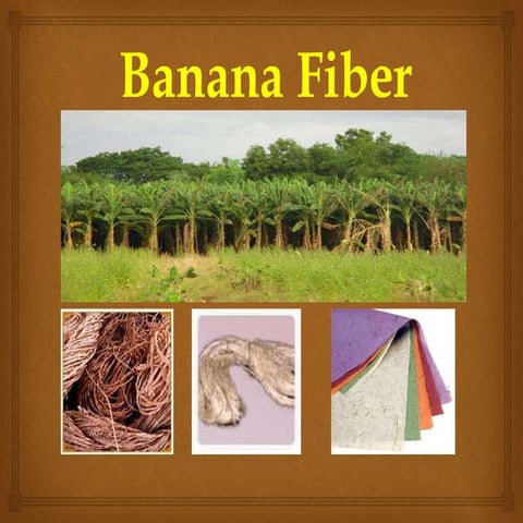 Banana fiber | PPT