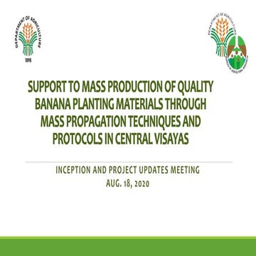 Banana Micropropagation_DA-RFO 7 .INCEPTION MEETING [Autosaved] - Copy.pptx