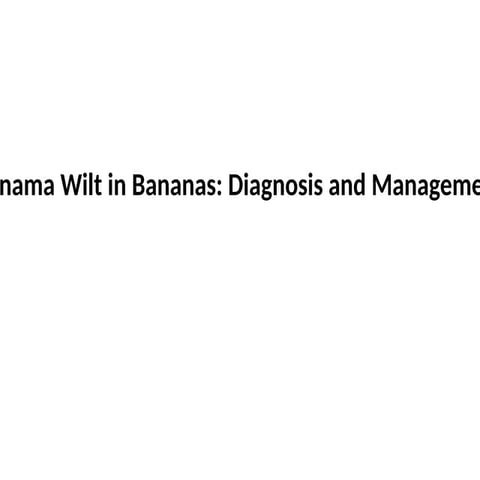 banana_panama_wilt fusarium_presentation.pptx
