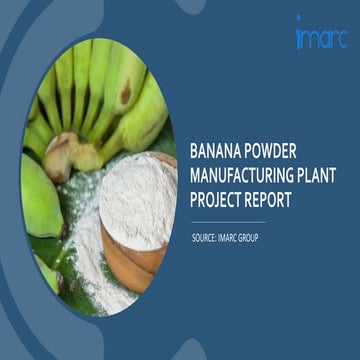 Banana Powder Manufacturing Plant Report | PPTX