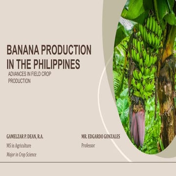 Banana Production Guide-GP Dean.pptx