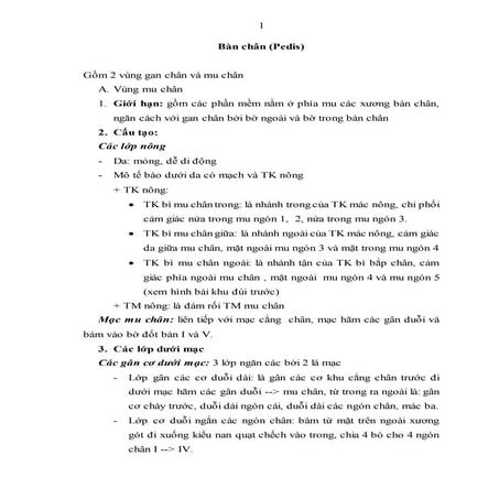 GIẢI PHẪU BÀN CHÂN | PDF