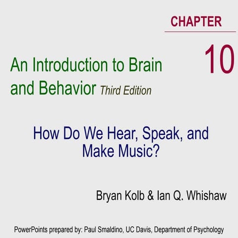 Music and the brain | PPT