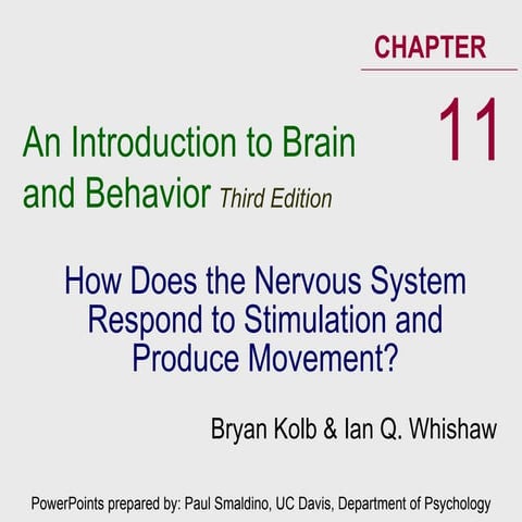 B and b3 lec ppt_ch11 | PPT