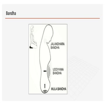 Yoga Bandha.pptx