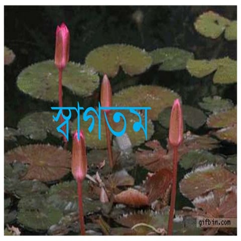 Bangla 2-ssc voc class-x-karok-o-bivokti | PPTX