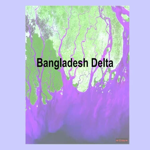 Ganges Delta | PPT