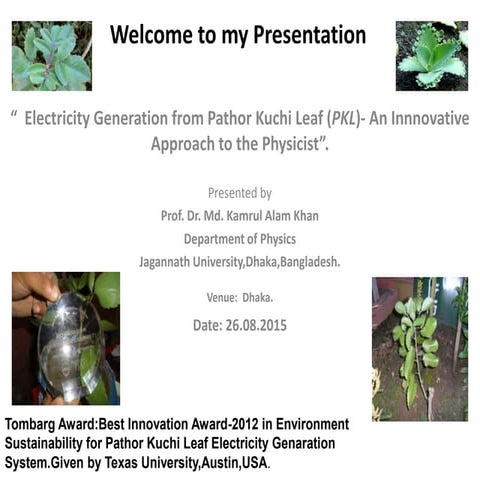 Dhaka | Aug-15 | Electricity Generation from Pathor Kuchi Leaf (PKL ...