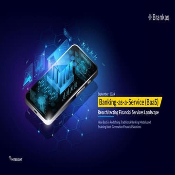 Banking as a Service to business customer | PDF