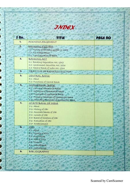 Segment analysis project class 12th | PDF