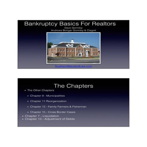 Bankruptcy Basics For Real Estate Professionals | PDF