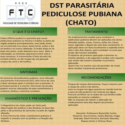 Banner dst | PPT