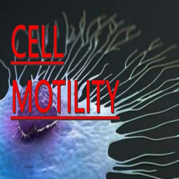 cell_motolity_flagella_cilia.pptx